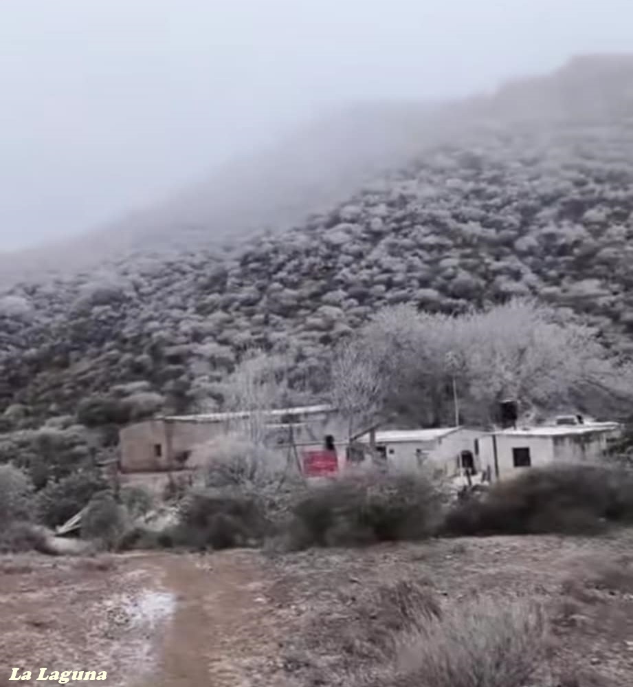 Ola polar: La sensación térmica en Chepes llegó a los 7 grados bajo ...